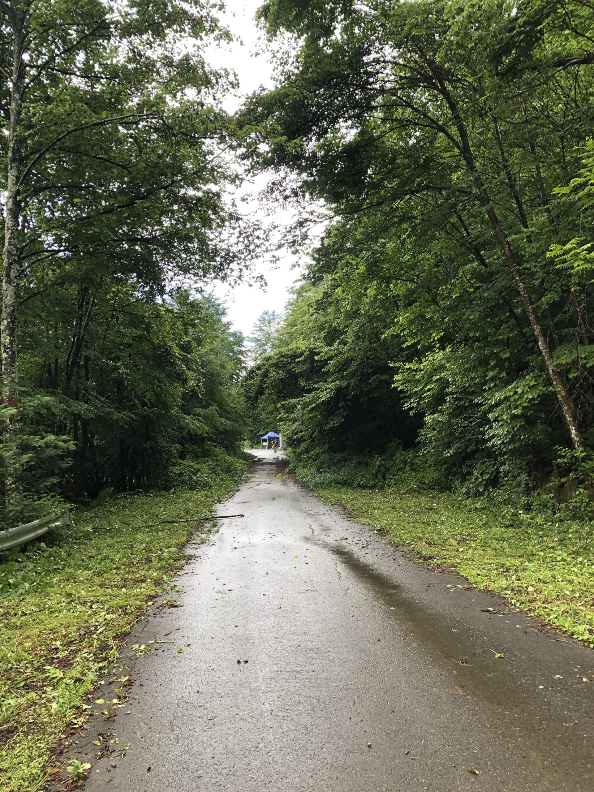 100km&100マイル トレイル救護 - 株式会社ENTAMEDICAL